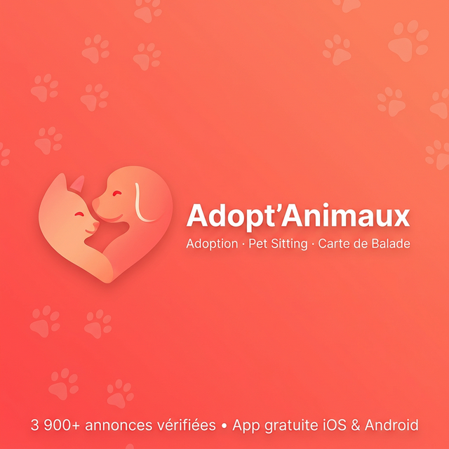Adoption Chien à Reims | Adopt'Animaux